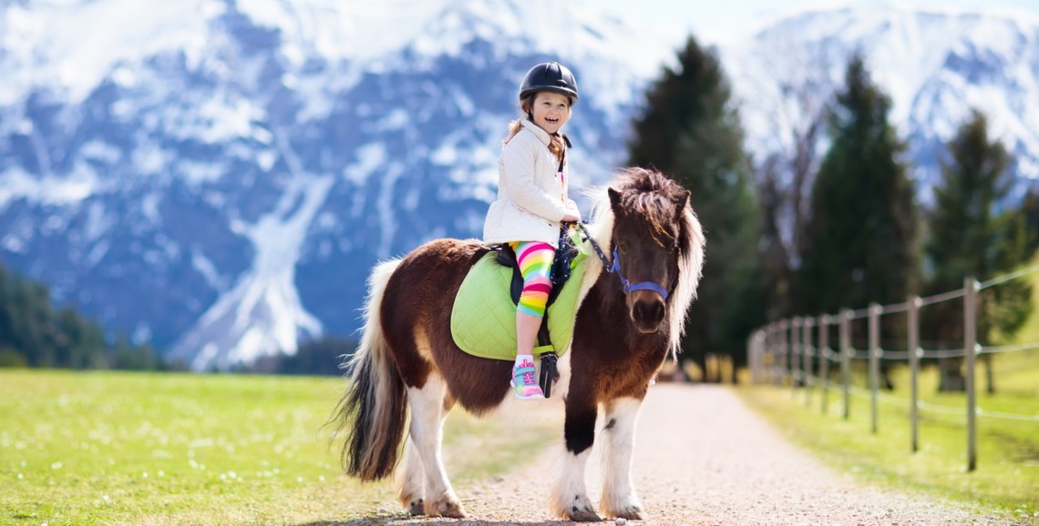 Ponys richtig füttern | Dr. Susanne Weyrauch